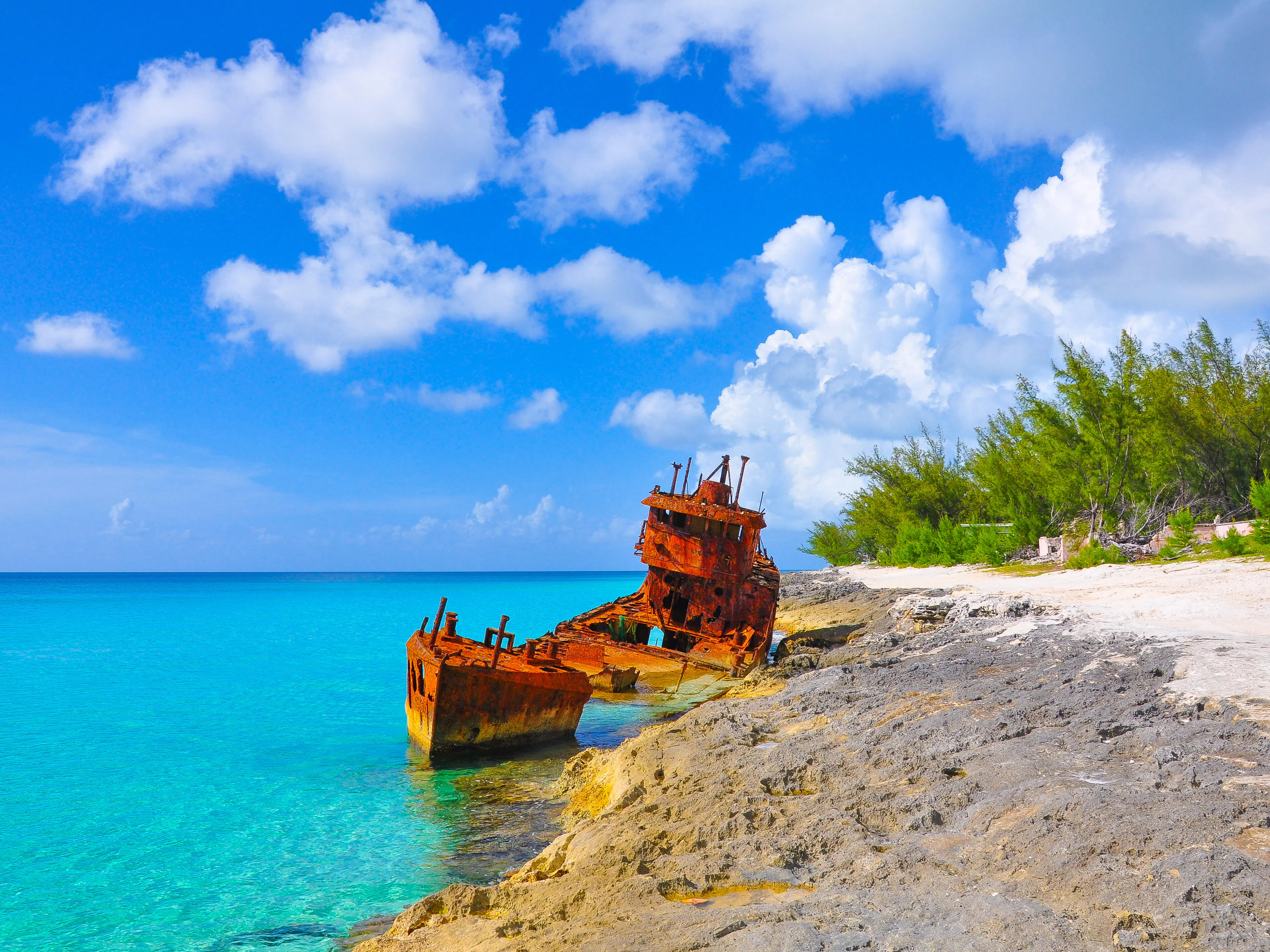 BEST Bimini Shore Excursions: Things to Do, Cruise Day Tour & Reviews ...