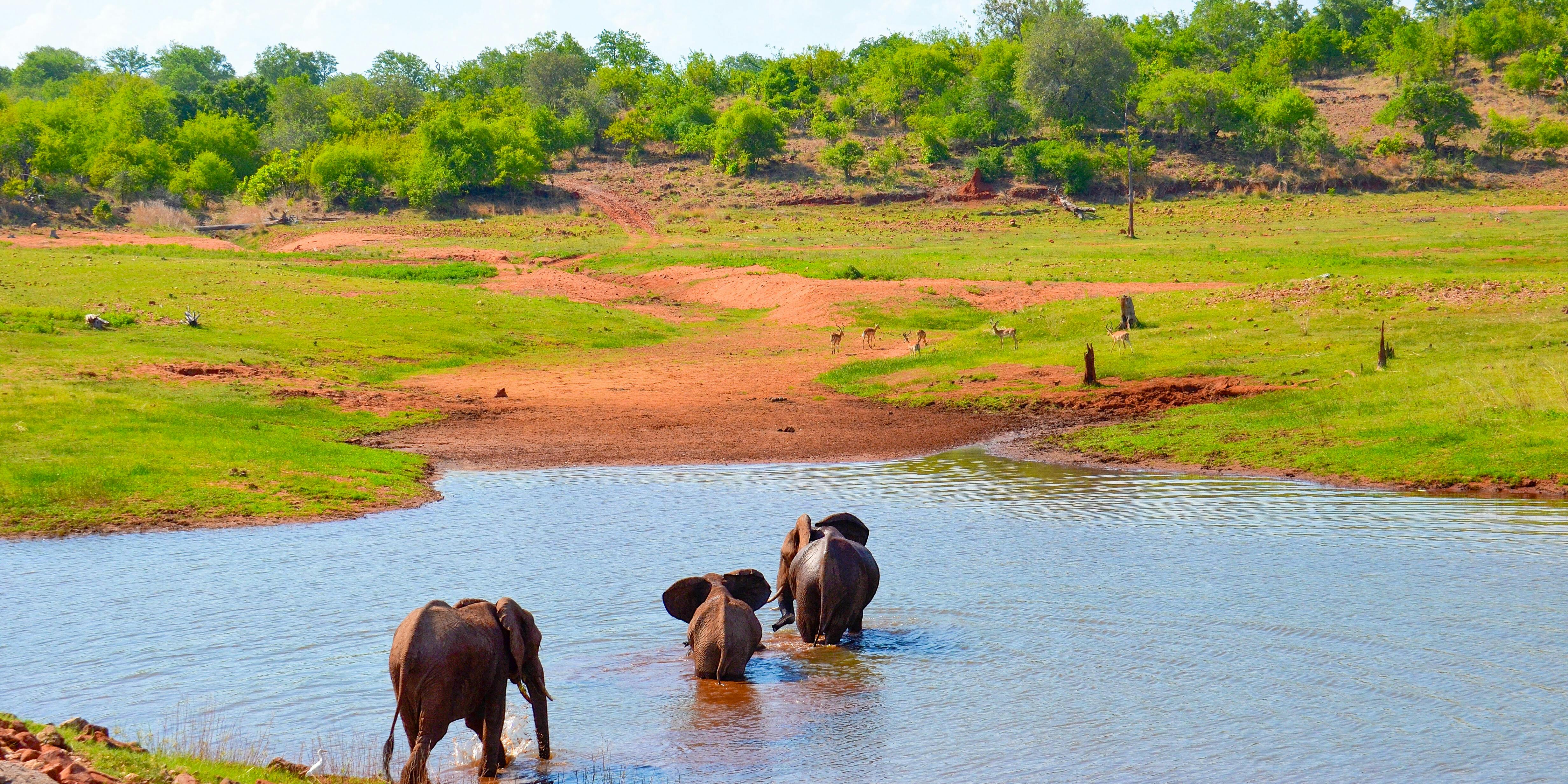 Chobe River Cruise Tips