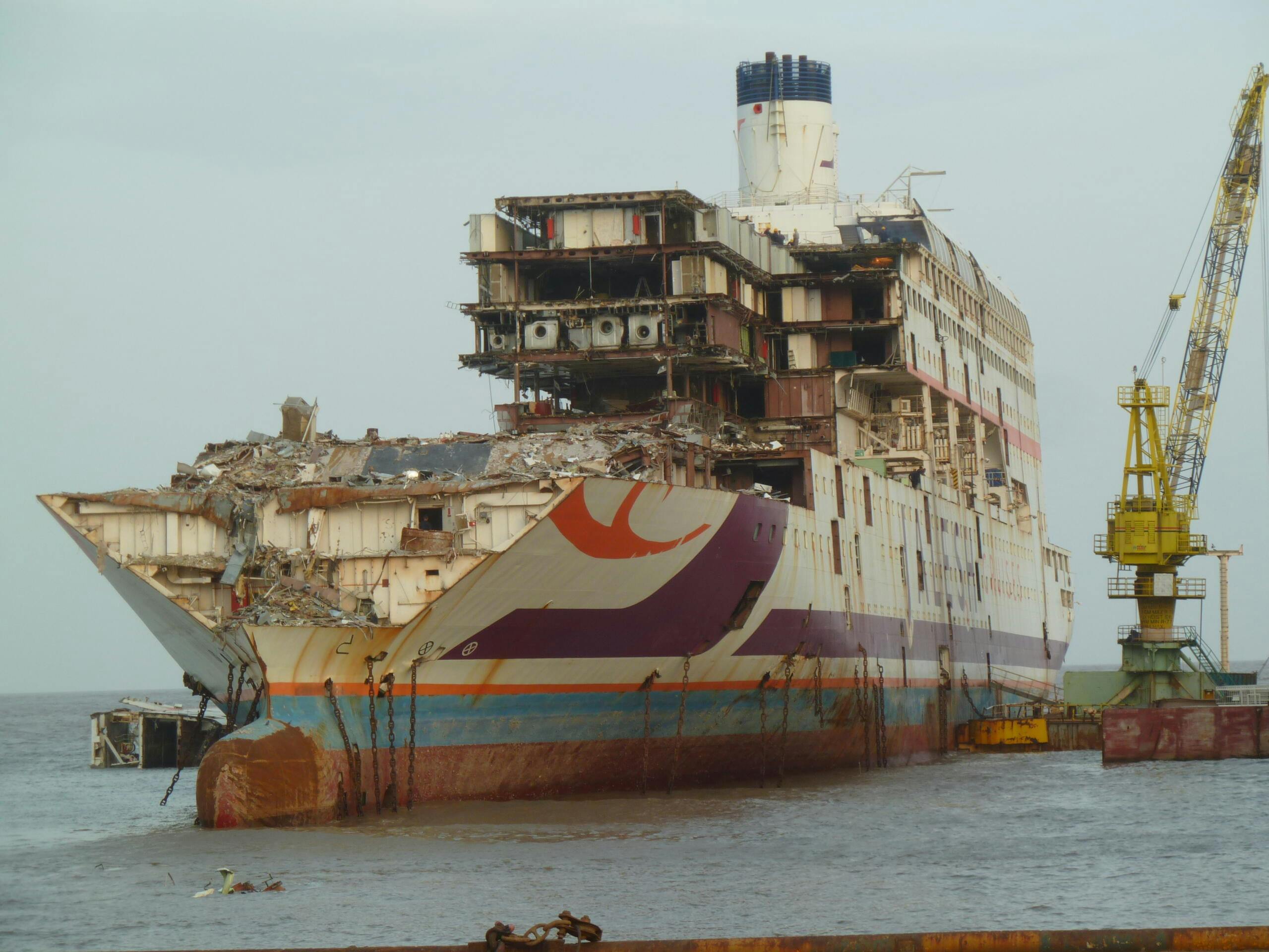 Cruise Reviews, Cruise Deals and Cruises - Cruise Critic