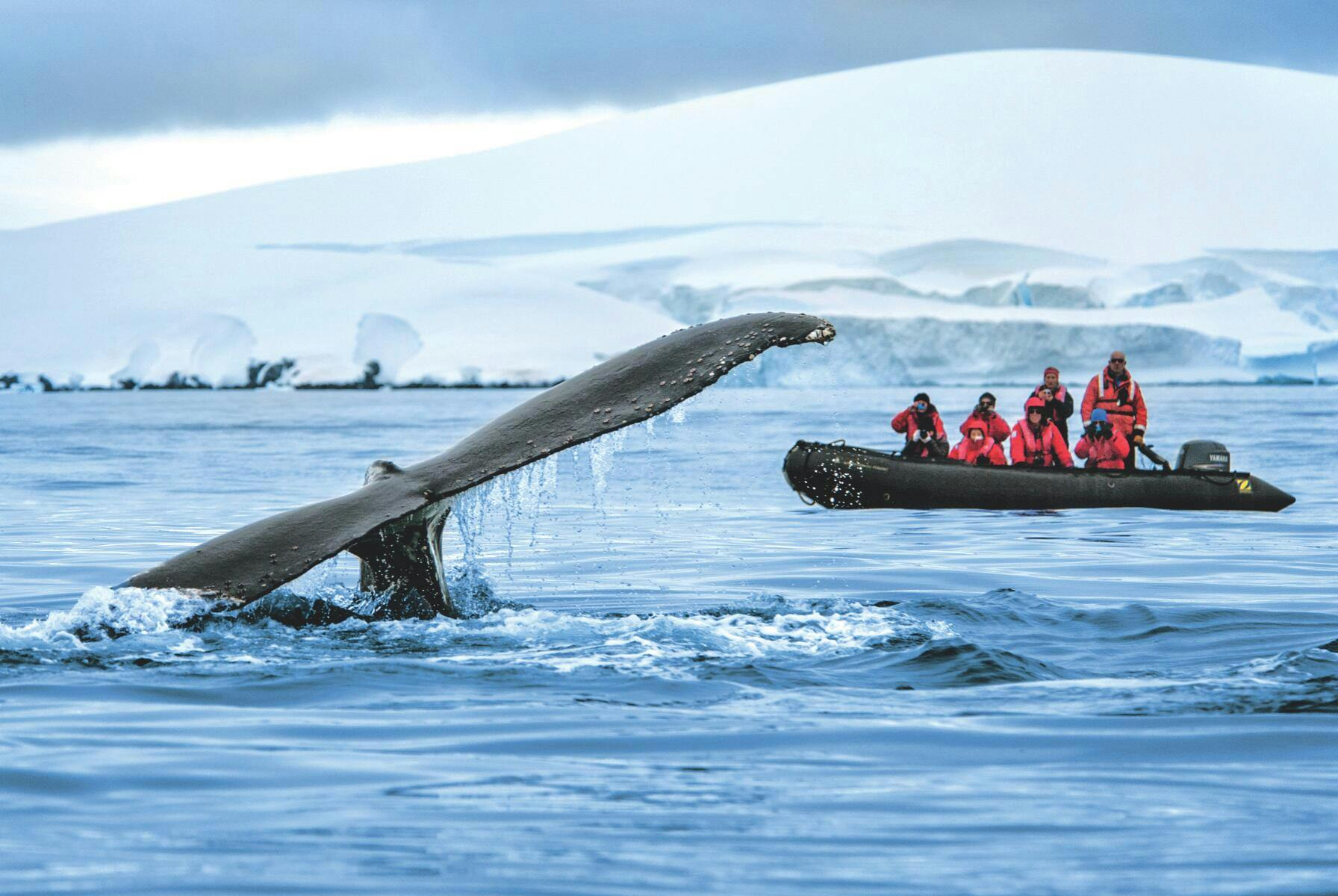 Best Cruises from Monaco to Liverpool 2026-2028