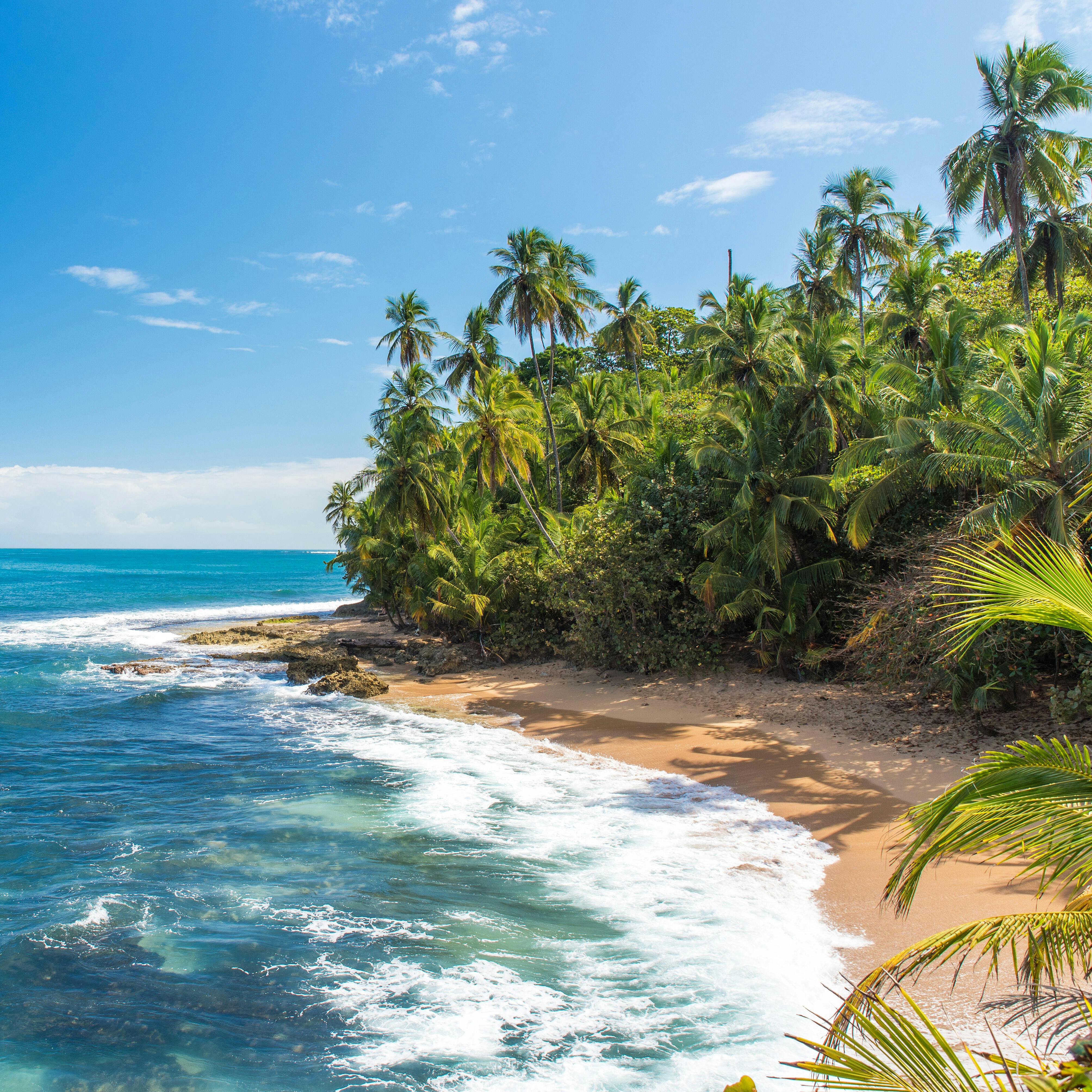 25 BEST Costa Rica Cruises 2024 (Prices + Itineraries): Cruises to ...