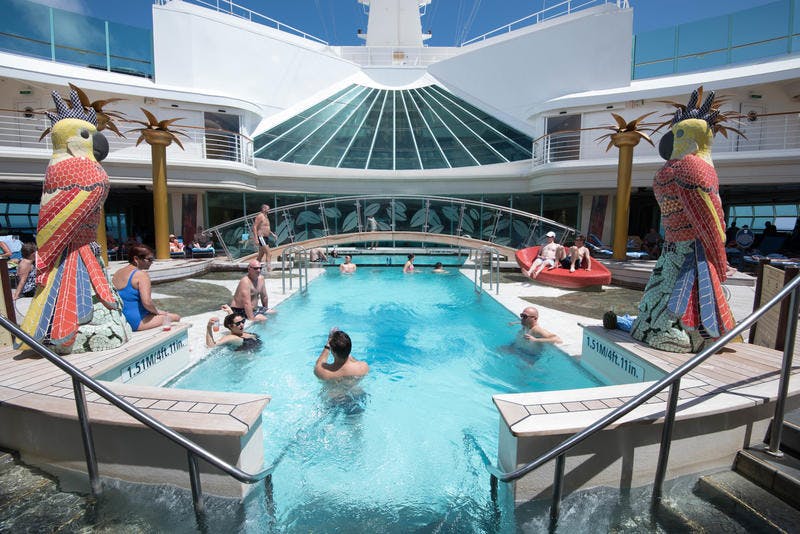 Solarium on Royal Caribbean Freedom of the Seas Cruise Ship - Cruise Critic