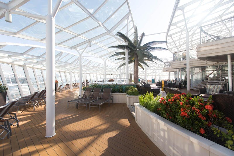 Solarium on Royal Caribbean Allure of the Seas Cruise Ship - Cruise Critic
