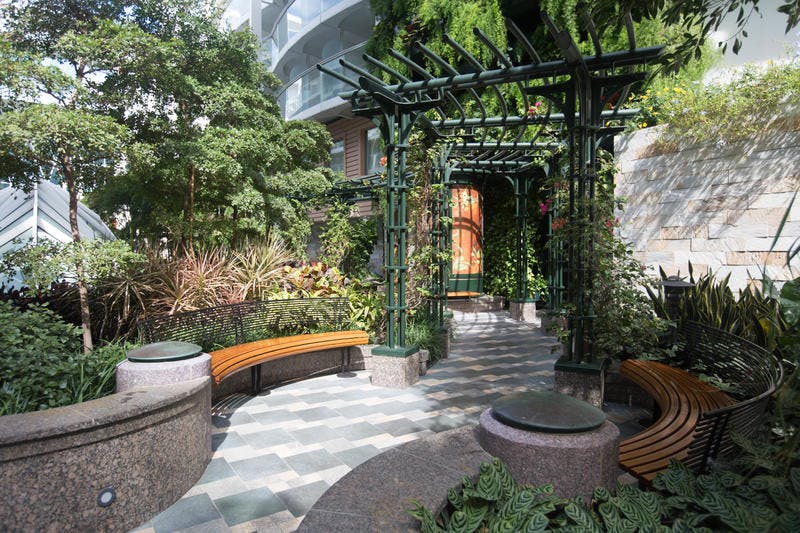 Trellis Bar on Royal Caribbean Allure of the Seas Cruise Ship - Cruise ...