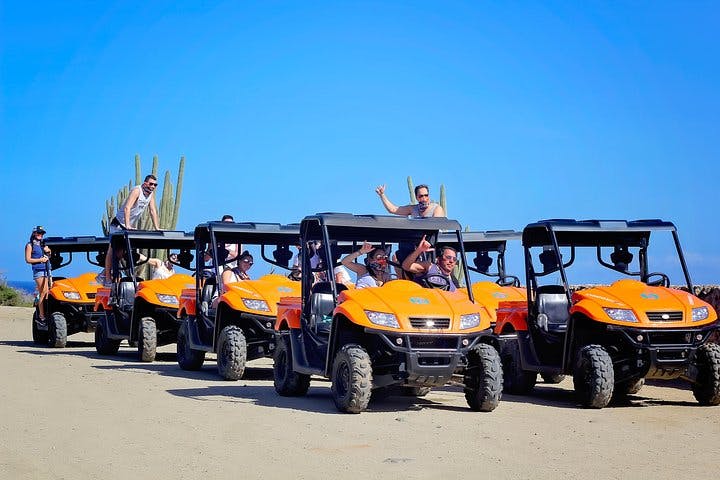 25 BEST Aruba Shore Excursions: Things to Do, Cruise Day Tour & Reviews ...