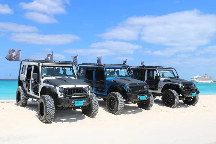 BEST Bimini Shore Excursions: Things to Do, Cruise Day Tour & Reviews ...