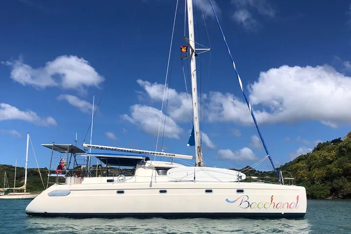12 BEST Grenada Shore Excursions: Things to Do, Cruise Day Tour ...
