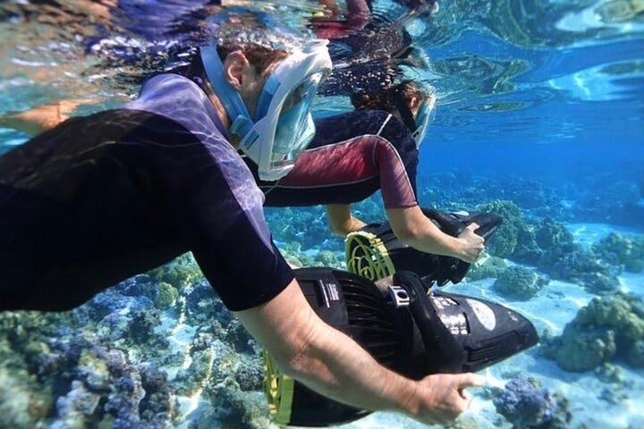 20 BEST Freeport Shore Excursions: Things to Do, Cruise Day Tour ...