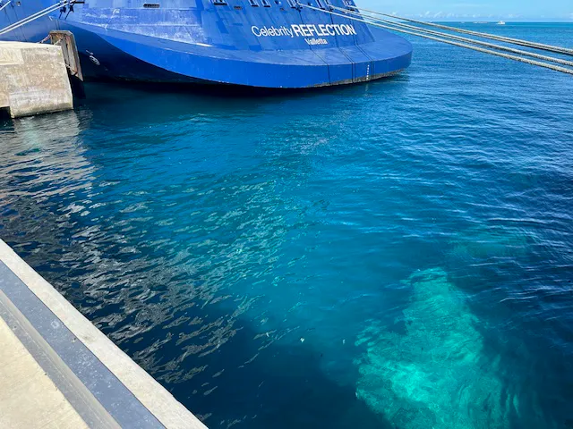 Celebrity Reflection Panama Reviews | Cruise Critic