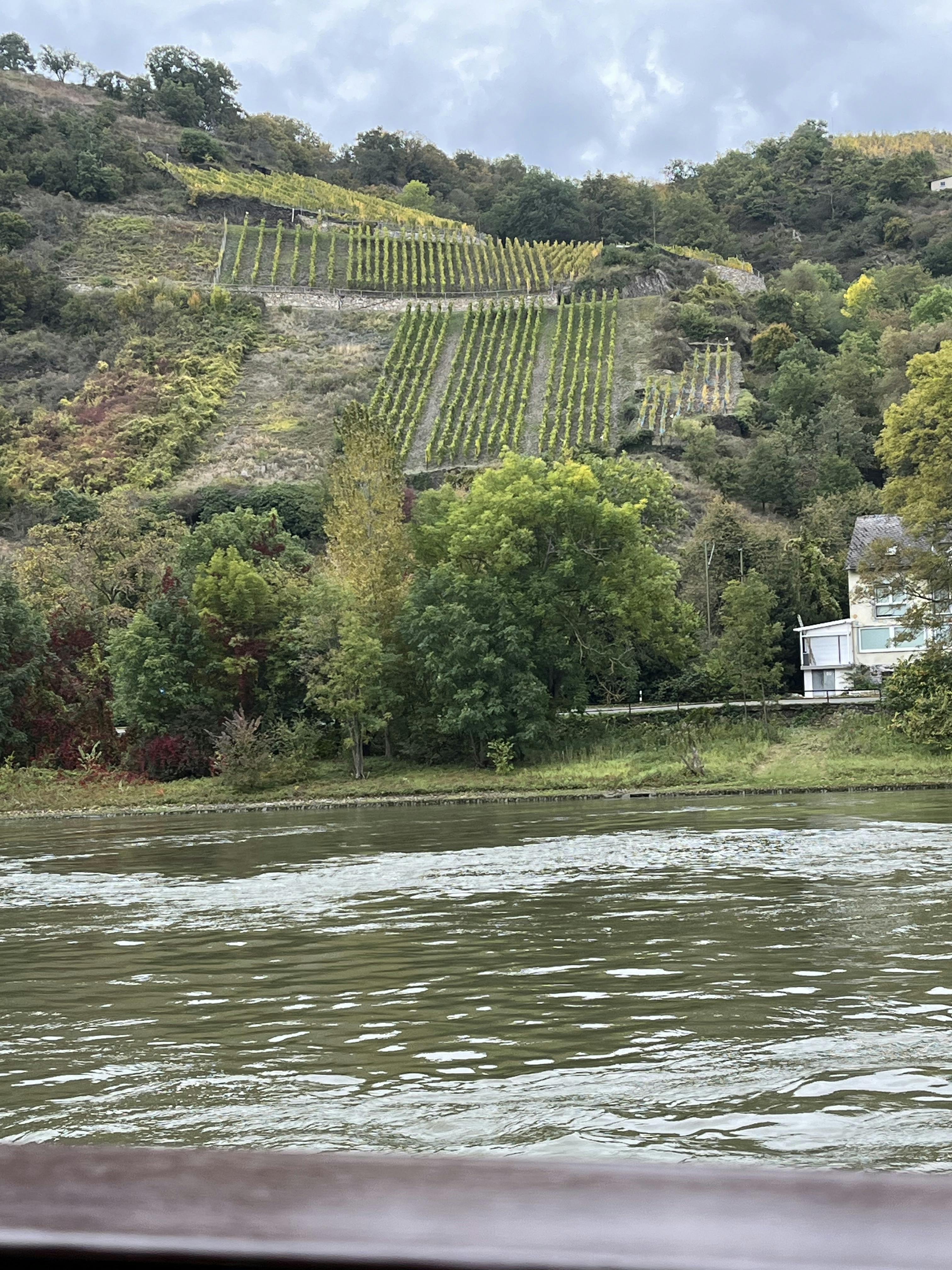 Viking Douro River Cruise Reviews (2024 UPDATED): Ratings of Viking ...