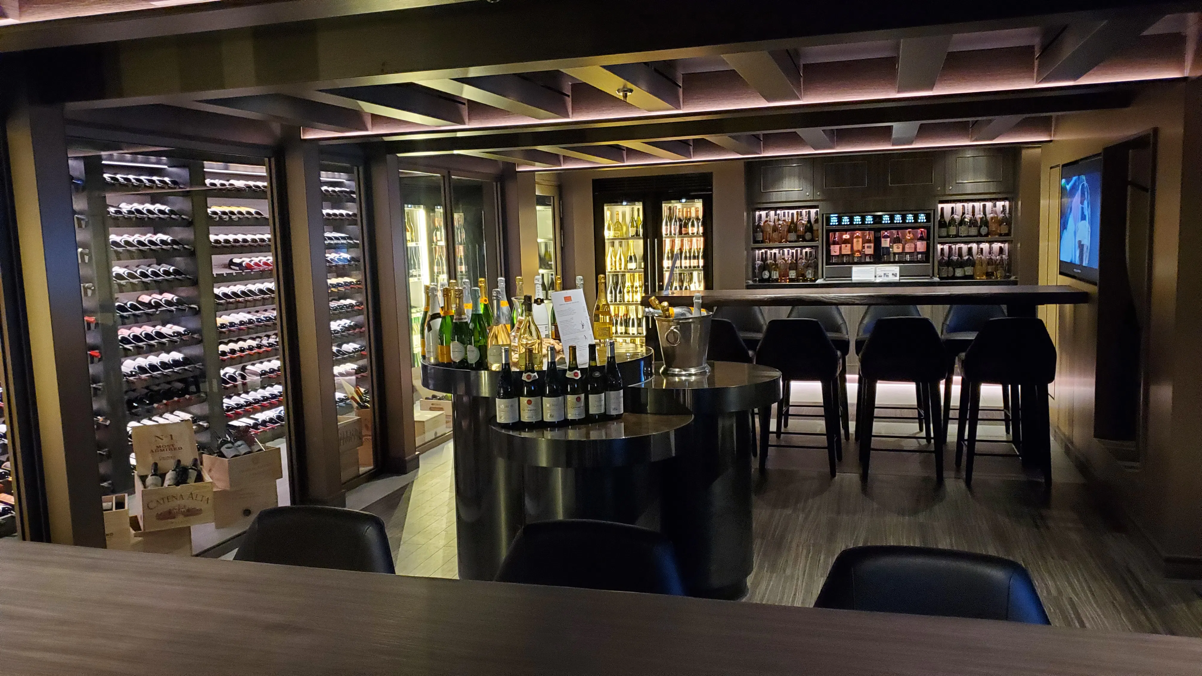 MSC Caribbean Cruise Reviews (2024 UPDATED): Ratings of MSC Cruises to ...