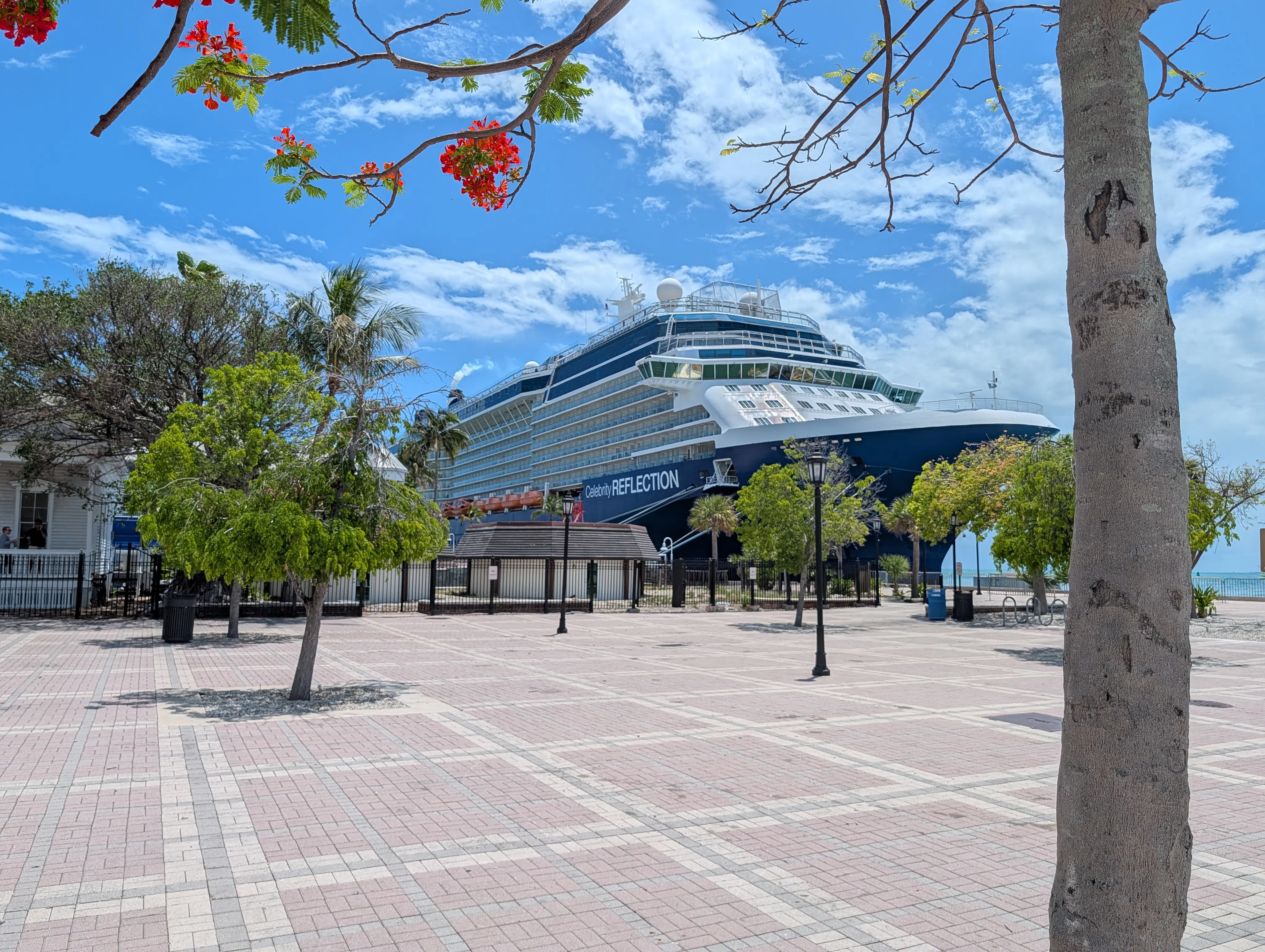 Celebrity Cruise Reviews | Cruise Critic Member Reviews