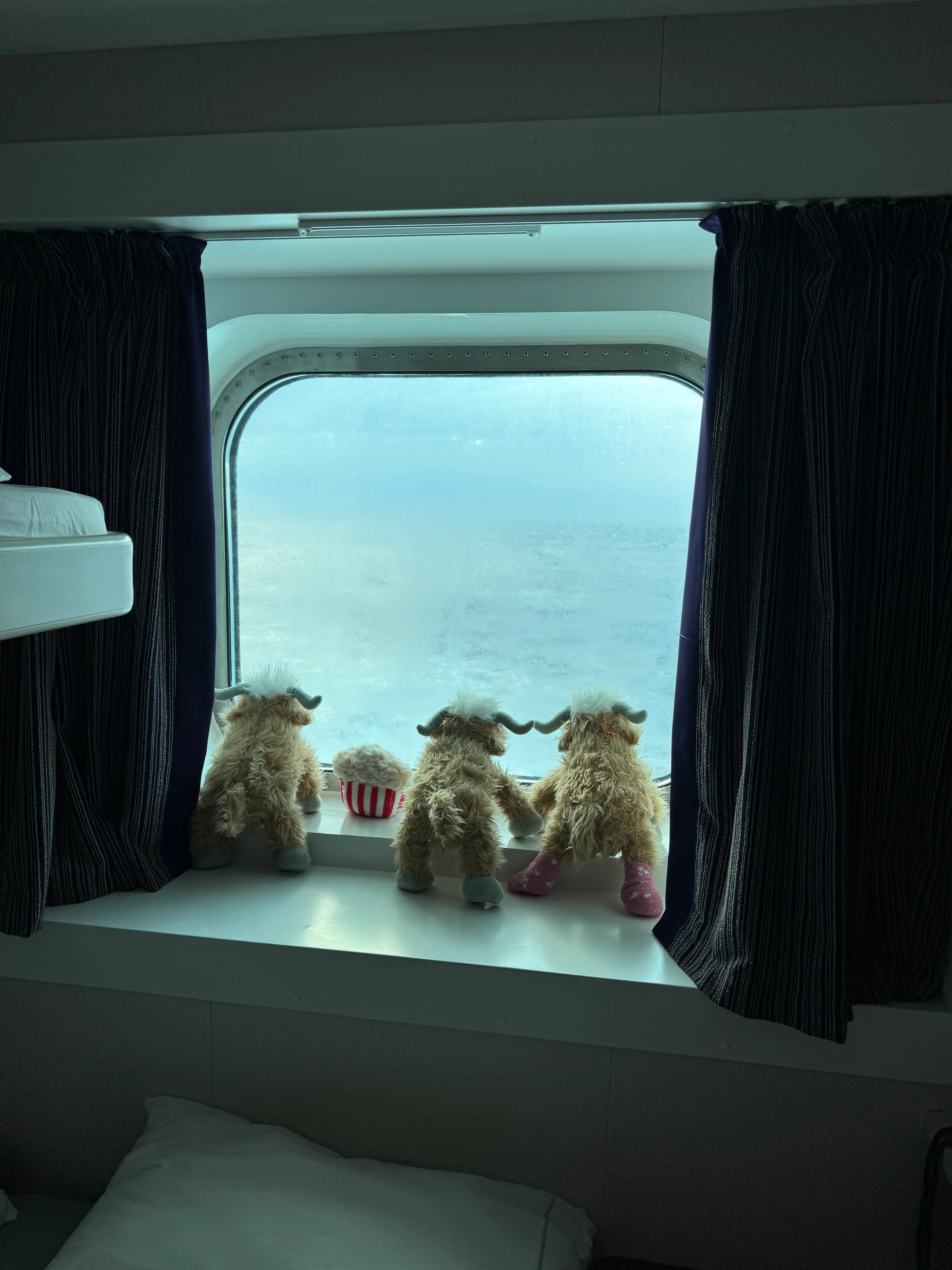 Norwegian Breakaway from Broome Reviews | Cruise Critic