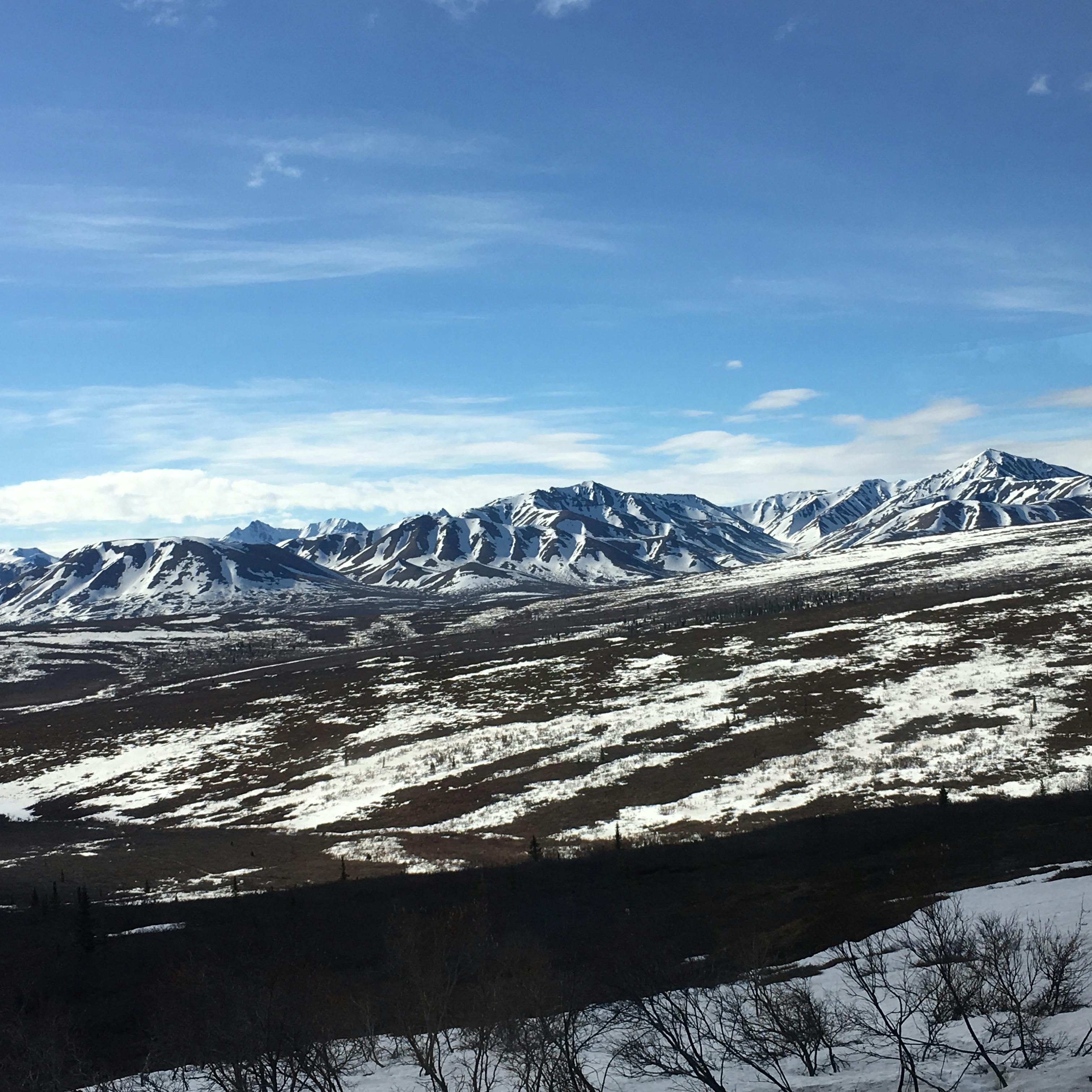 Island Princess Cruise Itinerary to Alaska on June 10, 2026