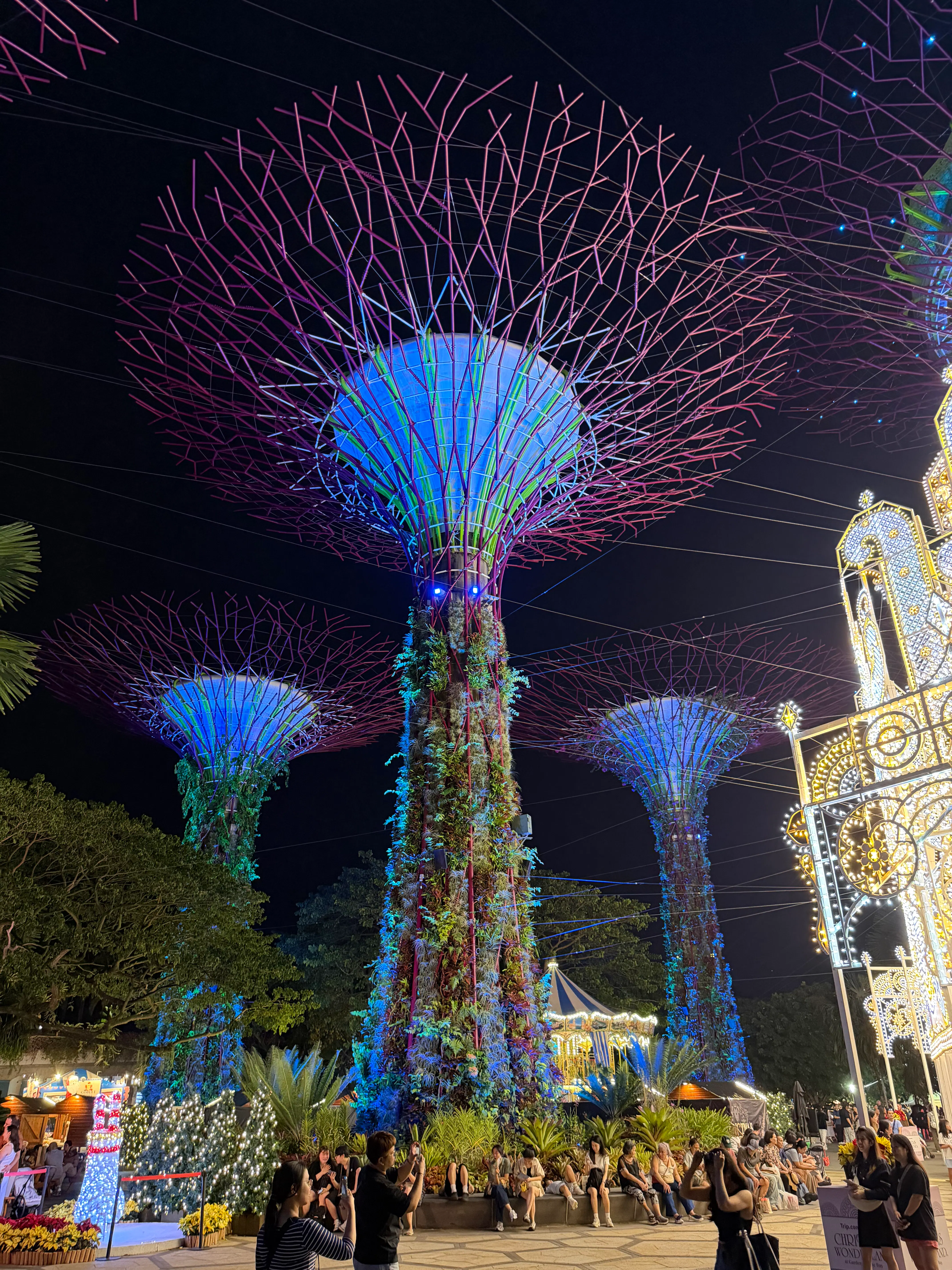 Celebrity Solstice from Unknown Departure Port Reviews | Cruise Critic