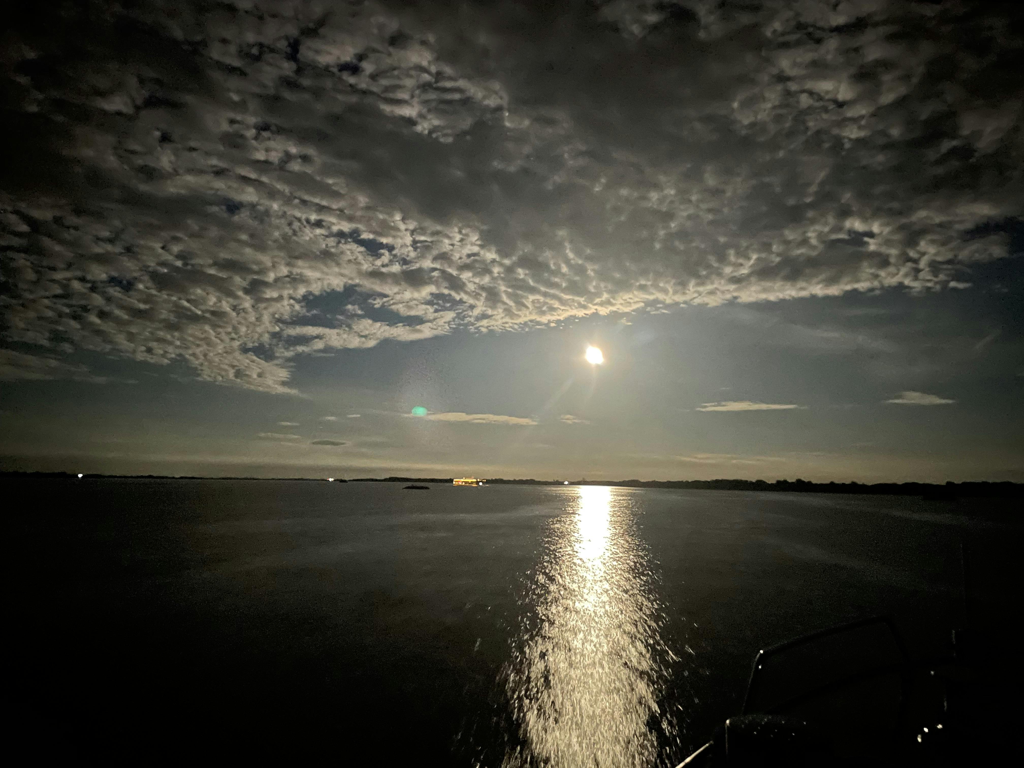 Travelmarvel Cruise Reviews (2025 UPDATED): Ratings of Travelmarvel