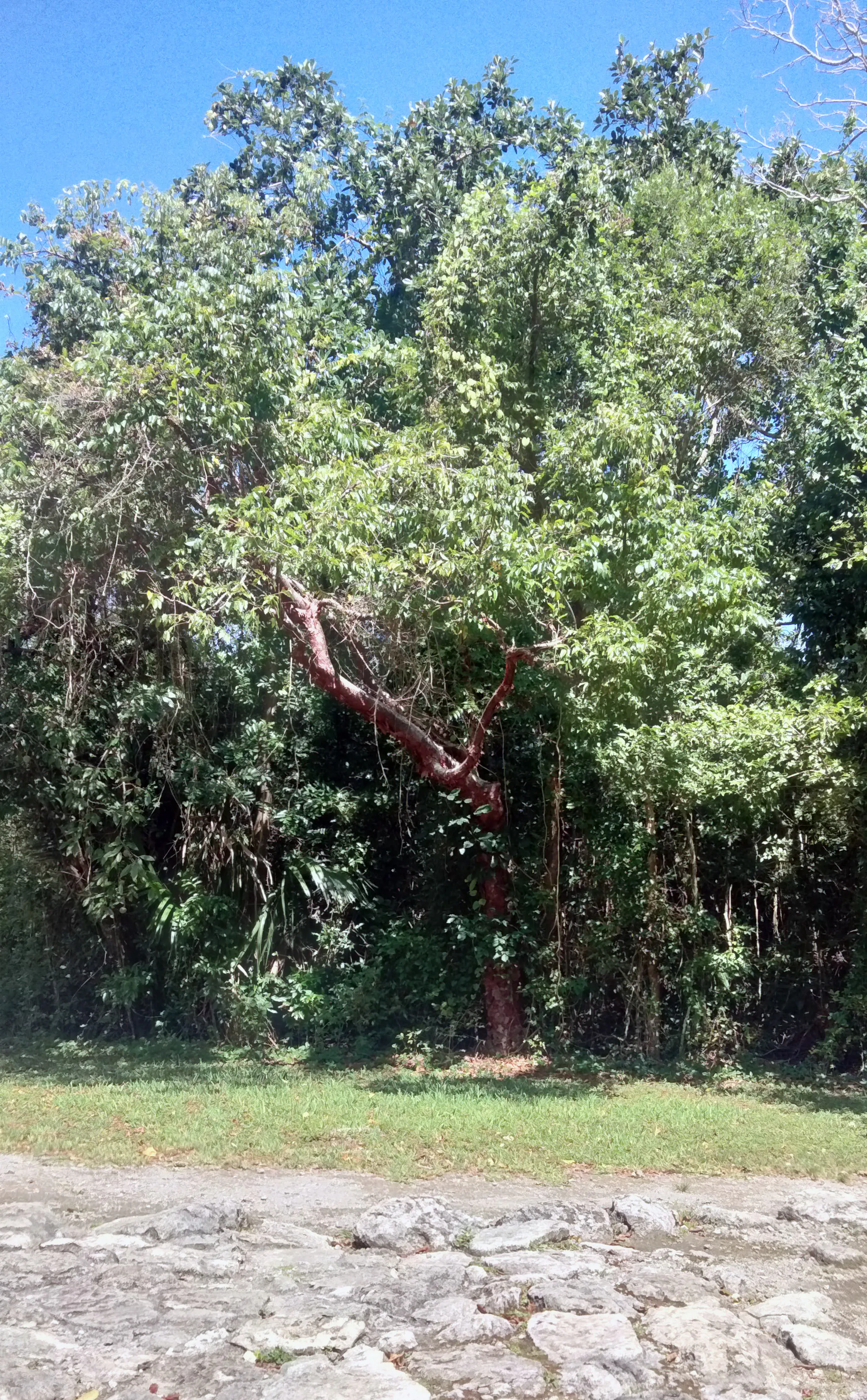 MSC Seascape Europe - Western Mediterranean Reviews | Cruise Critic