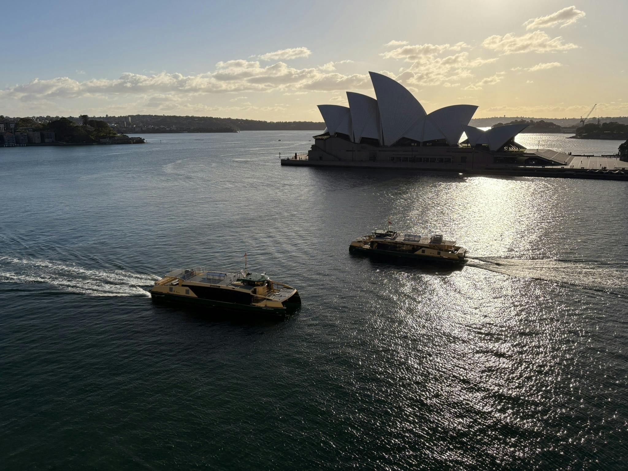 Princess Crown Princess Fiji Cruise Reviews (2024 UPDATED): Cruise ...