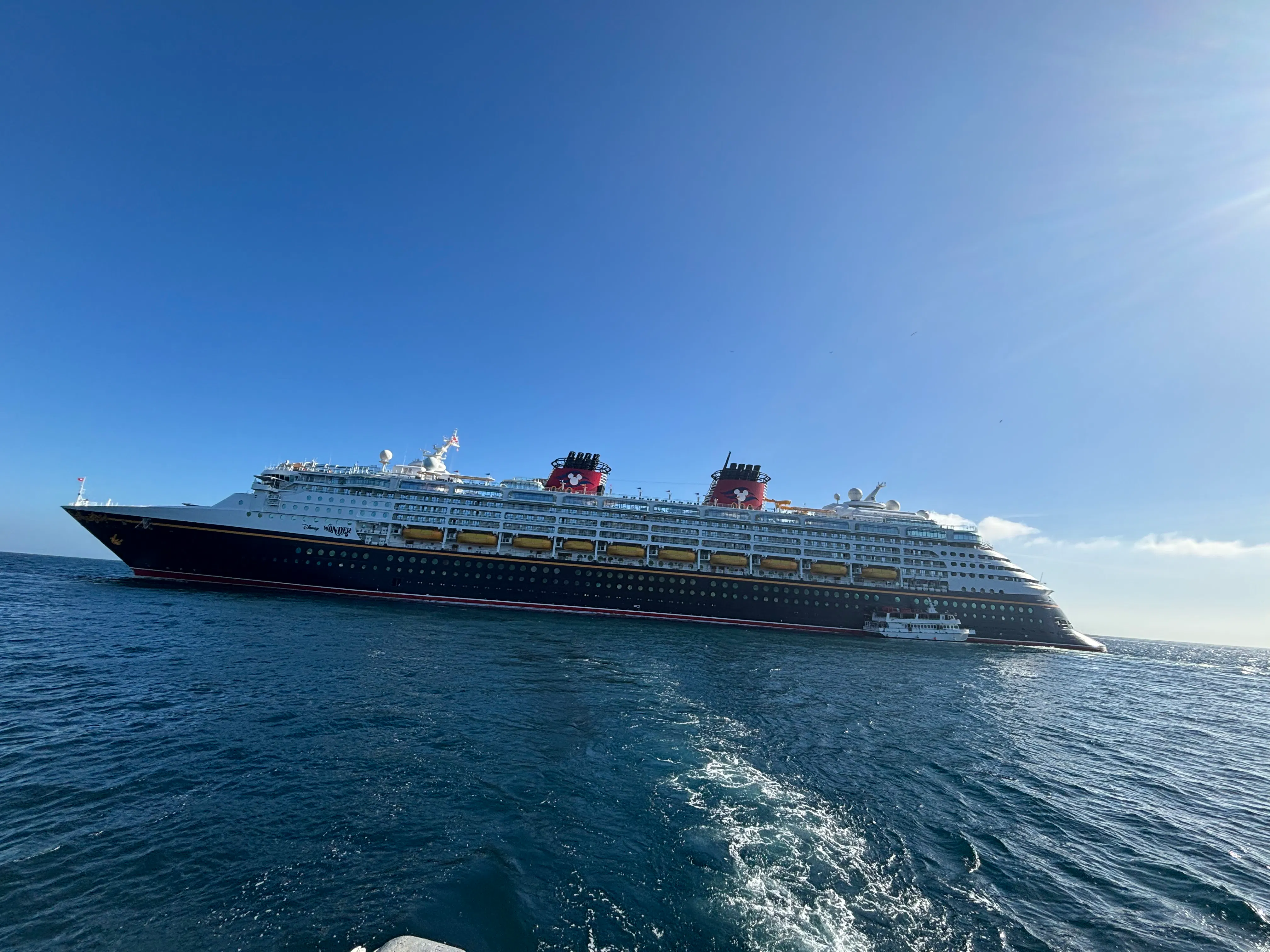 Disney Wonder Cruise Reviews | Ratings & Insights from Members