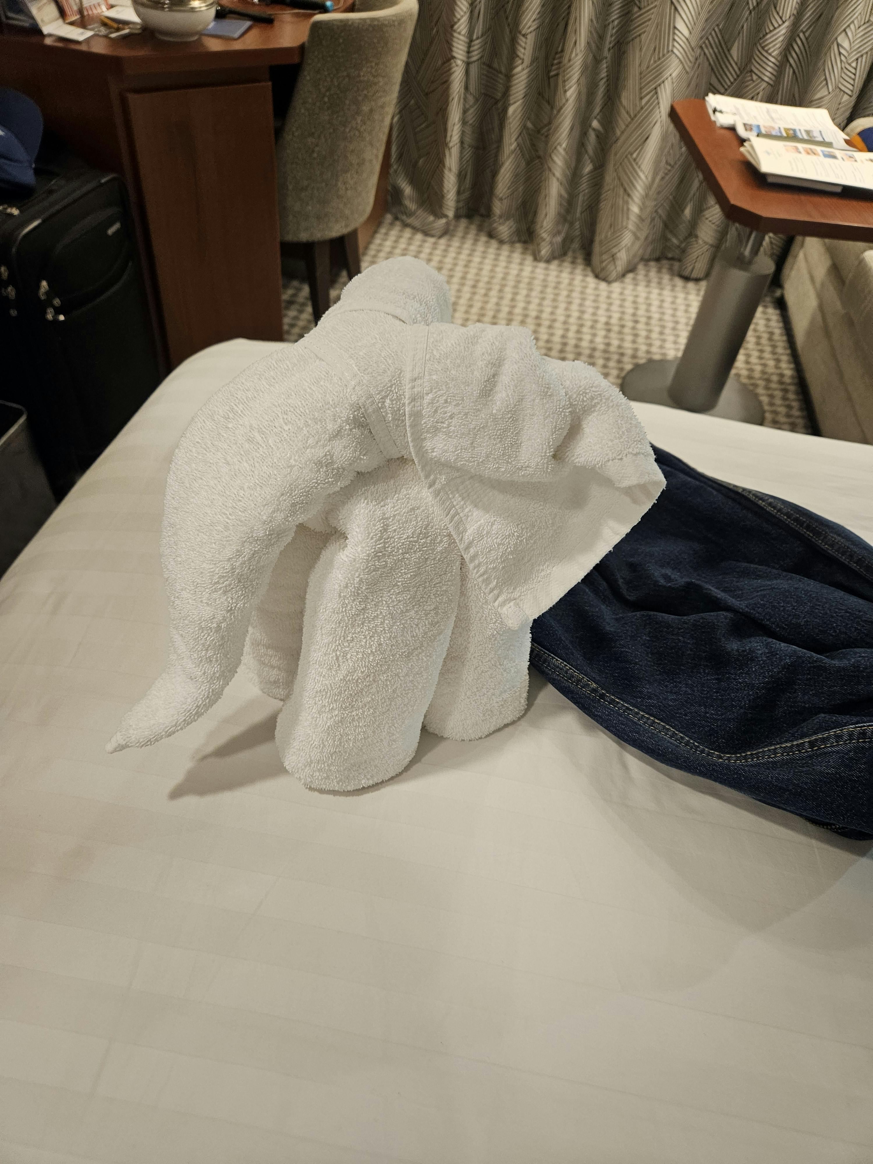 Holland America Nieuw Amsterdam Cruise Itinerary to Alaska on May 17, 2026