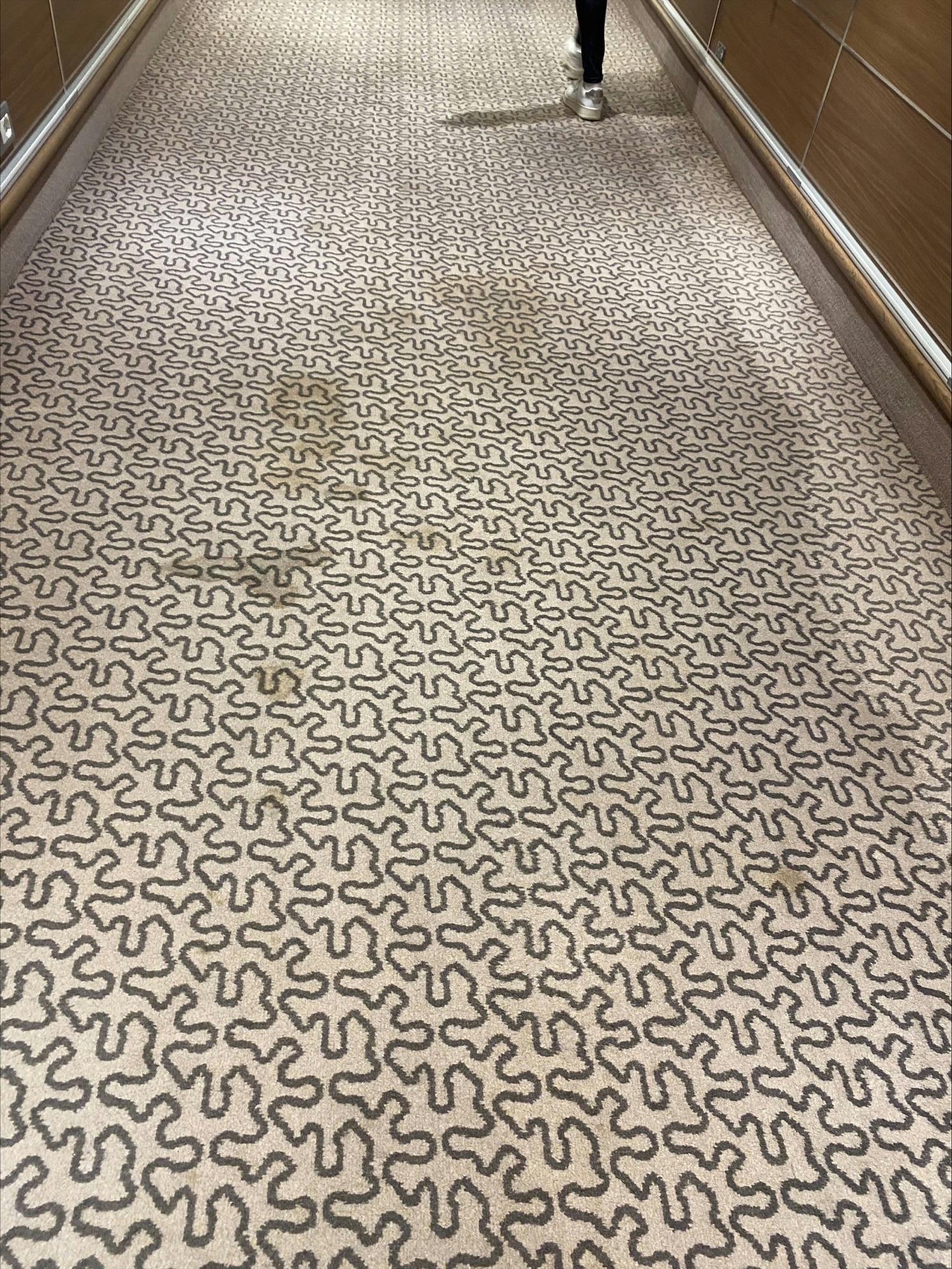 Silver Moon Cruise Itinerary to Australia & New Zealand on February 14 ...