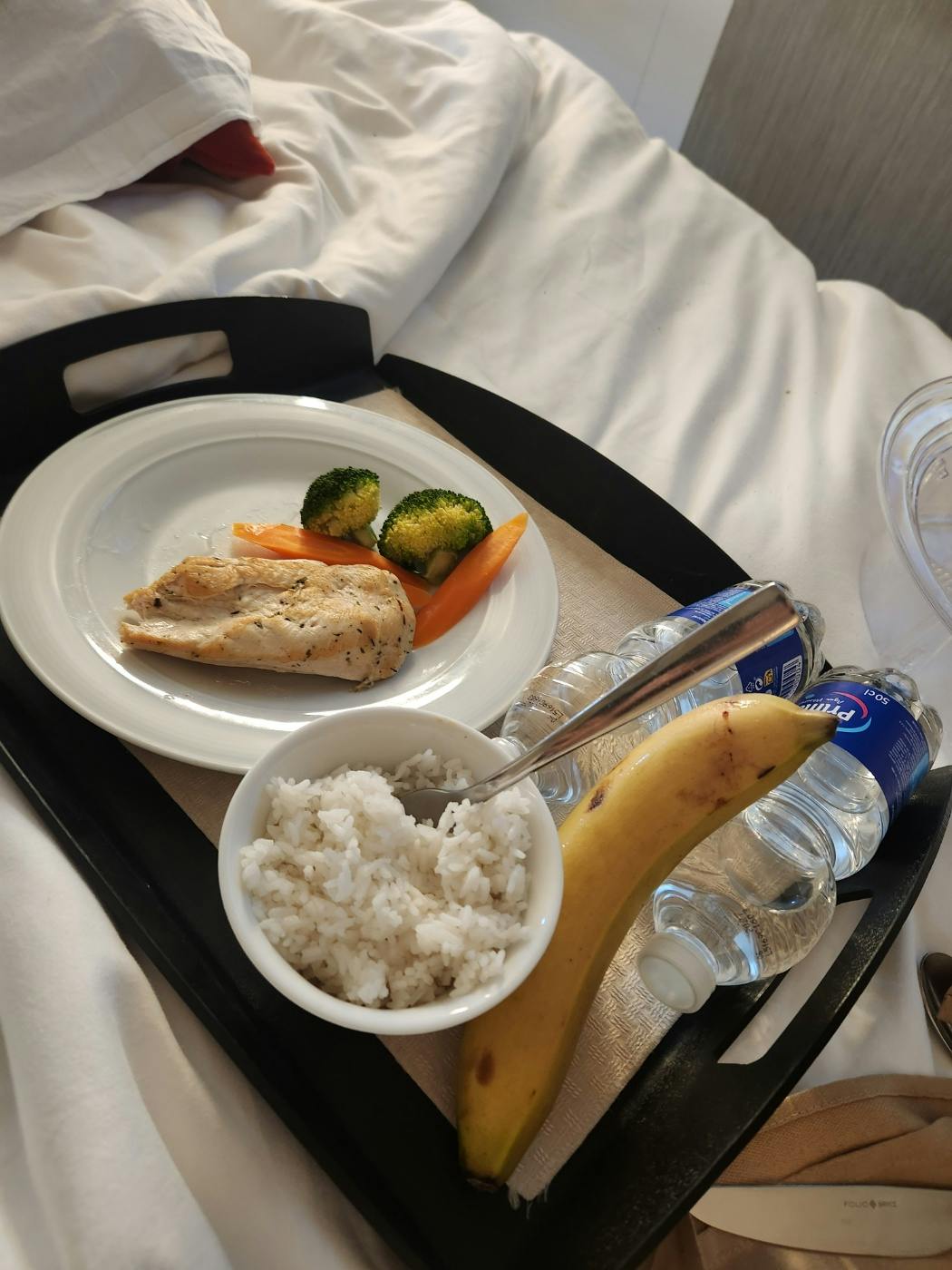 Celebrity Ascent Panama Cruise Reviews (2025 UPDATED): Cruise Ratings ...