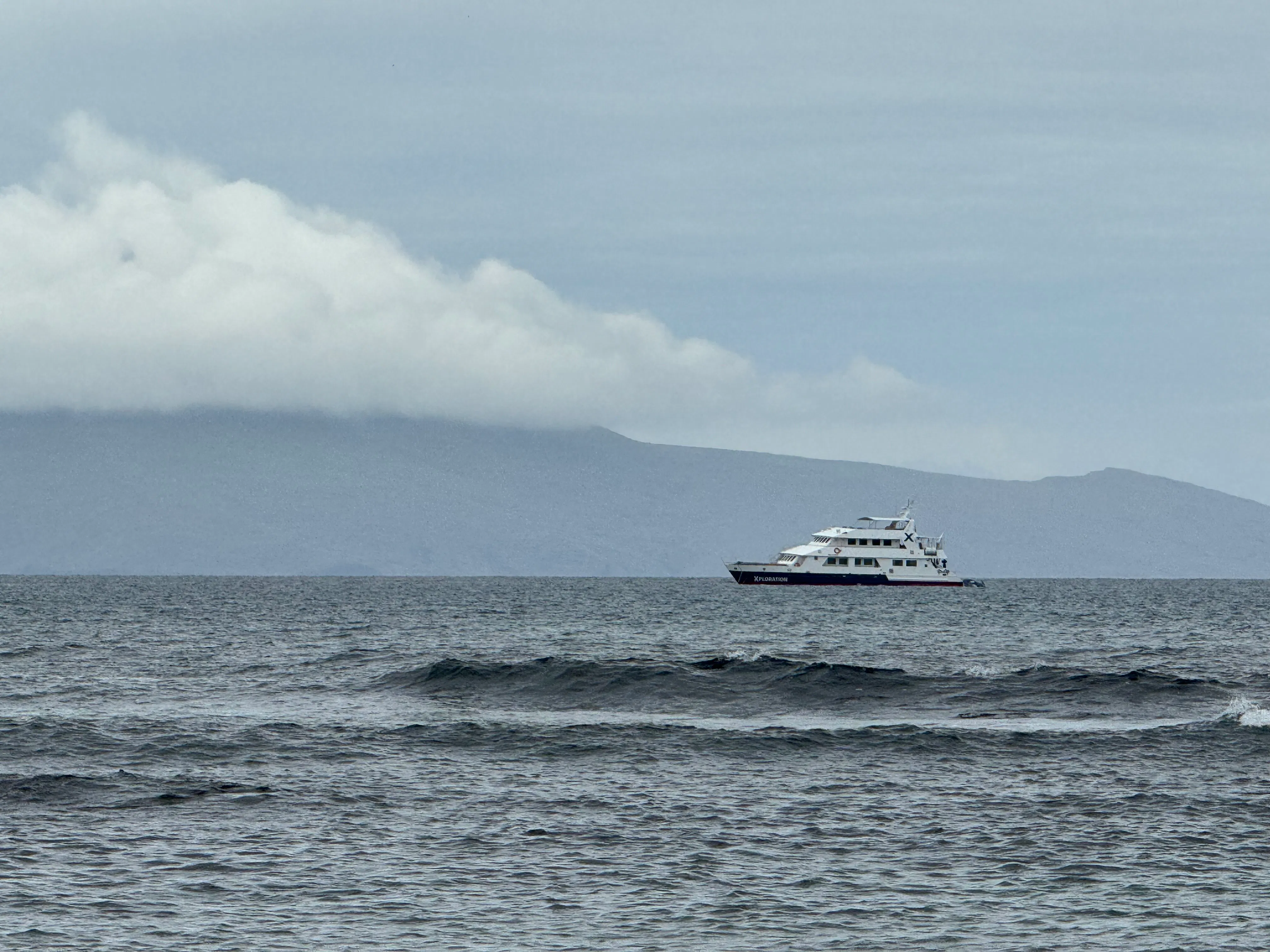 Celebrity Reviews for Cruises to Galapagos | Member Reviews