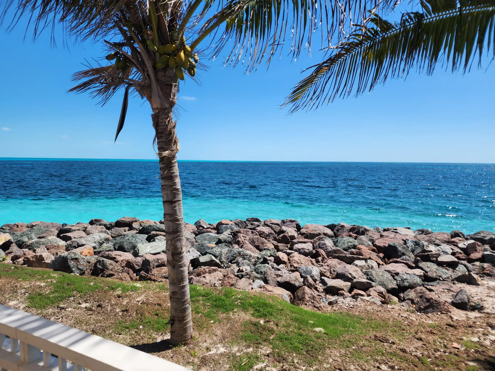 MSC Caribbean Cruise Reviews (2025 UPDATED): Ratings of MSC Cruises to ...