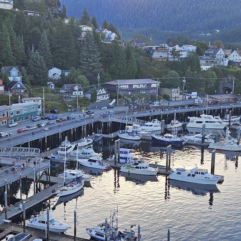 Princess Discovery Princess Fiji Cruise Reviews (2026 UPDATED): Cruise ...